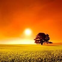 Gary Lee Perkins Obituary (2024) - Pleasant Grove, AL - Patterson ...