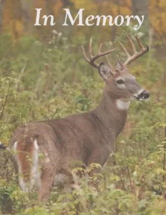 James D. Fraley Obituary (2025) - Martin, KY - Nelson-Frazier Funeral ...