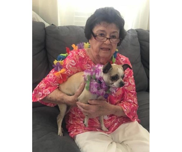 Barbara Ann Stachow Obituary (2025) - Wilmington, DE - Doherty Funeral ...