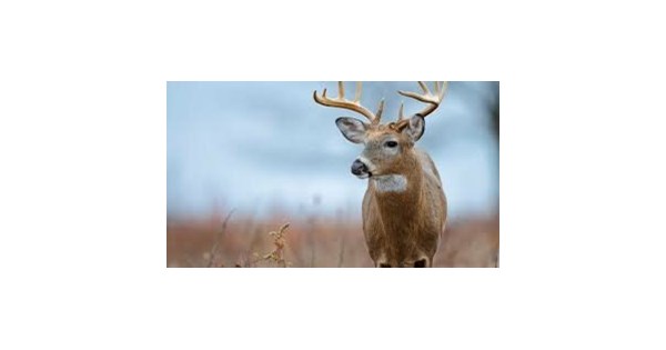 Robert Leroy Price Obituary (2025) - Armagh, PA - Richard C. Stuart ...