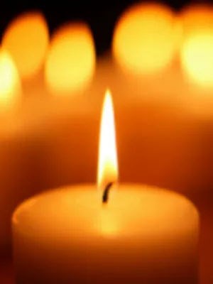 Christine Colin Obituary (2024) - Brookfield, IL - Hitzeman Funeral ...