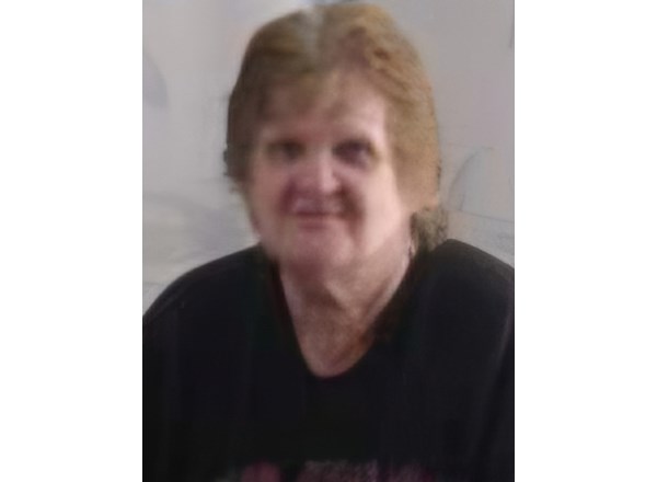 Sandra Kay Wisneski Obituary (2026) - Joliet, IL - Caring Cremations ...
