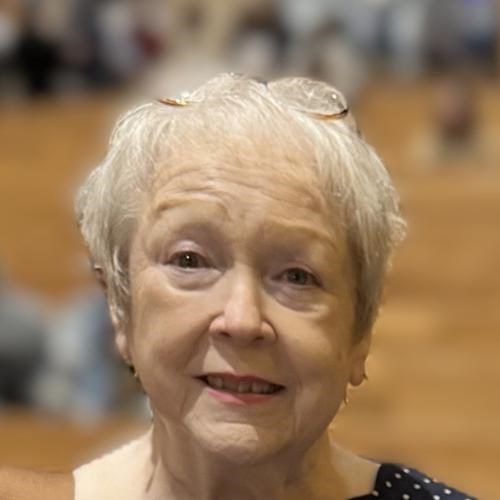 Barbara A. "Barbie" Palmer Obituary (2025) - Pittsburgh, PA - Devlin ...