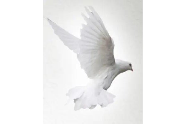 Alan Keith Norman Obituary (2025) - Huntington Beach, CA - Heritage ...