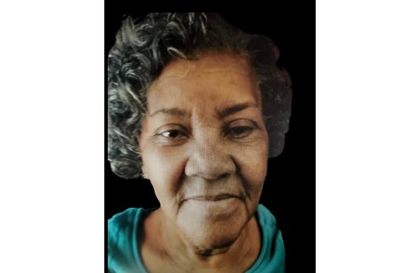 Ellaree Ferguson Shands Obituary (2026) - Spartanburg, SC - Callaham ...