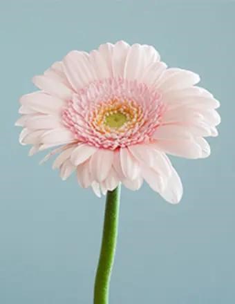 Katherine J. "Kathy" Kennison Obituary (2025) - Zanesville, OH - Bryan ...