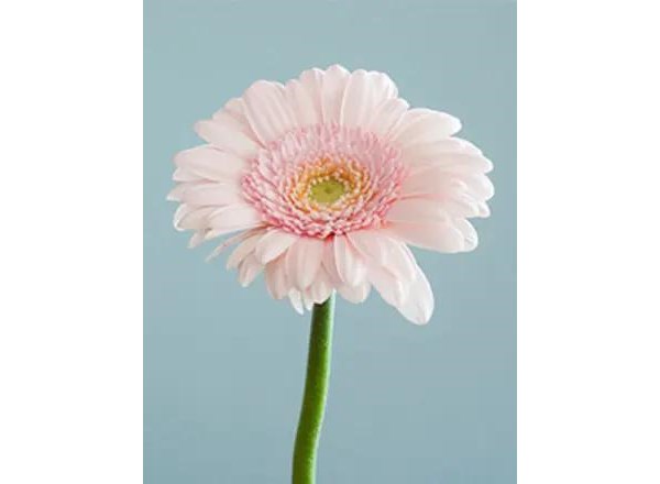 Katherine J. "Kathy" Kennison Obituary (2025) - Zanesville, OH - Bryan ...