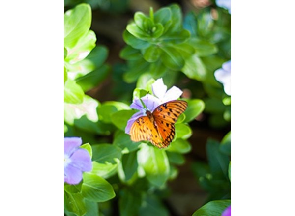 Anna McBride Obituary (2026) - Calverton, NY - Thomas F. Dalton Funeral ...