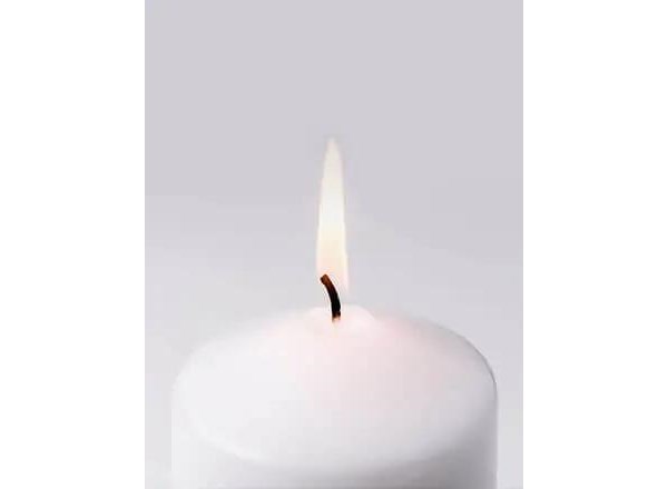 Megan E. Delio Obituary (2025) - Downingtown, PA - James J. Terry ...