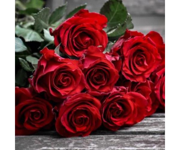Margarita Sanchez Obituary (2026) - Miami, FL - Memorial Plan ...