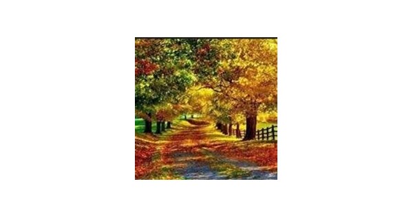 John Alley Jr Obituary (2025) - Roswell, NM - Anderson-Bethany Funeral ...