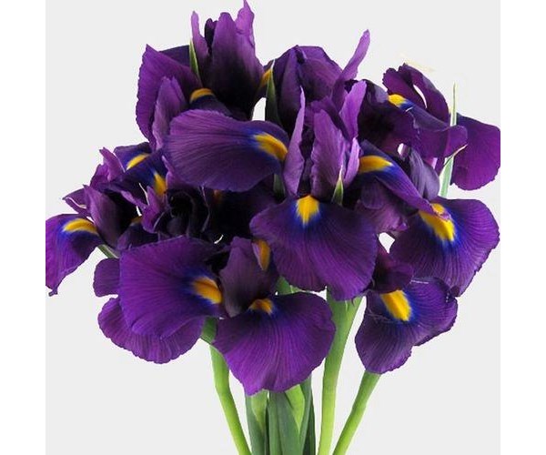 Mary Ruth Bierman Obituary (2025) - Marissa, IL - Heil-Schuessler ...