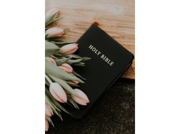 Mrs. Cathy Annette McGuire Millsap Obituary (2022) - Summerville, GA ...