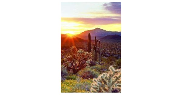 Michael John Kuder Obituary (2024) - Redding, CA - Allen & Dahl Funeral ...