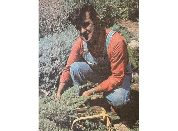 Maurice "Bob" Cormier Obituary (2025) - Plainfield, CT - Dougherty ...
