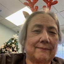 Karen Ann Darabant Obituary (2023) - North Olmsted, OH - Sunset Funeral ...