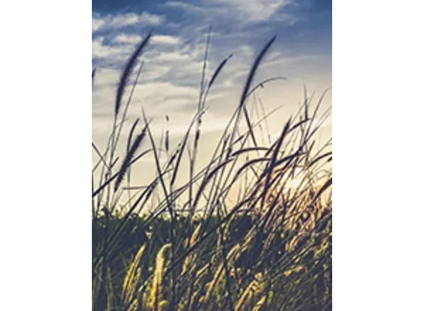 Andrew T. Walters Obituary (1946 - 2025) - Camden, NY - WKTV