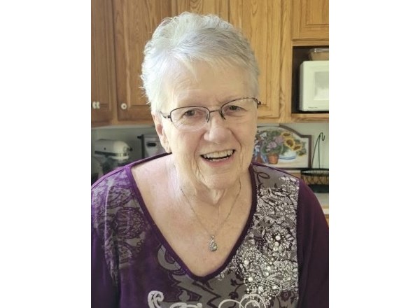 Sandra Sloan Obituary (2025) - Chesaning, MI - McGeehan Funeral Homes ...