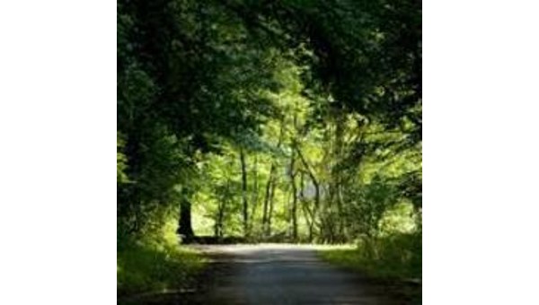 Steven Lawrence Kelso Obituary (2026) - Indianapolis, IN - Cremation ...