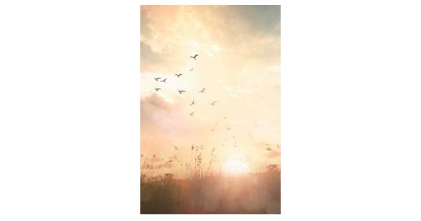 Ronald Casteel Obituary (2023) - Redding, CA - Allen & Dahl Funeral ...
