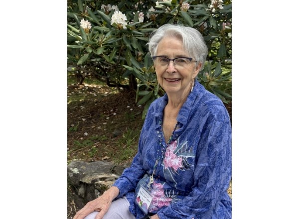 Nancy D. Taylor Obituary (2025) - Hendersonville, NC - Church Street ...