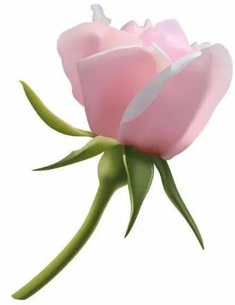 Judy Carol Foster Obituary (2025) - Haskell, OK - Dowdy-Marker Funeral Home