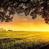 Mr. Robert Allen "Bobby" Porter Obituary (2025) - Scottsboro, AL ...