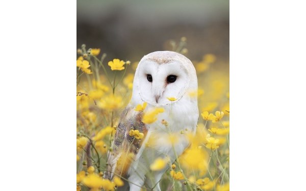 Steven Richard Riedmann Obituary (2025) - Pendleton, OR - Pendleton ...