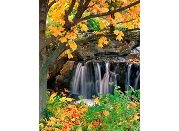 Lawrence Carlos Stokes Obituary (2025) - Smyrna, DE - Faries Funeral ...