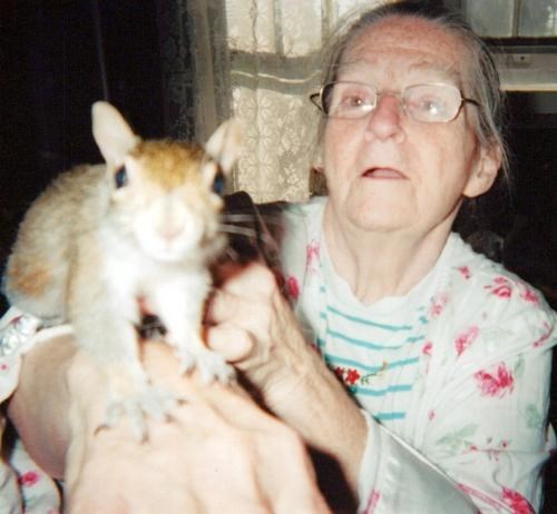 Rebecca McCauley Obituary and Online Memorial (2026)