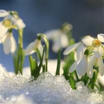 Cynthia Long Obituary (2025) - Southport, NC - Coastal Cremations and ...