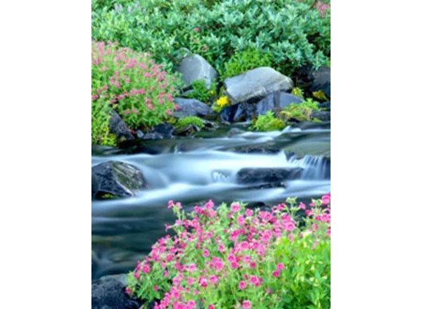 Sandra Patricia Kempton Obituary (2025) - El Paso, TX - Perches Funeral ...