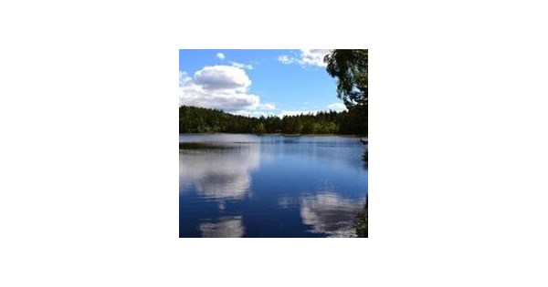 Bruce Schneider Obituary (2025) - Buford, GA - Flanigan Funeral Home ...