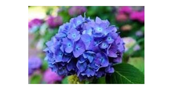 Gloria Casper Obituary (2024) - Duluth, GA