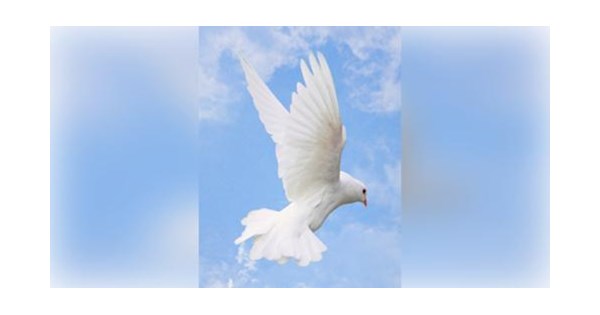David Eugene Stich Obituary (2023) - Louisville, KY - Ratterman ...