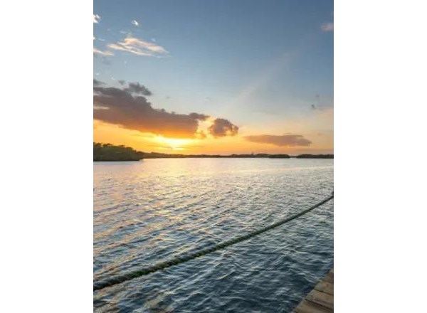 Larry Johnson Jr Obituary (2024) - Tampa, FL - Scrivens Johnson ...