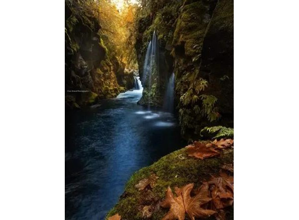 Bonnie Pickering Obituary (1940 - 2025) - Ashland, OR - KDRV