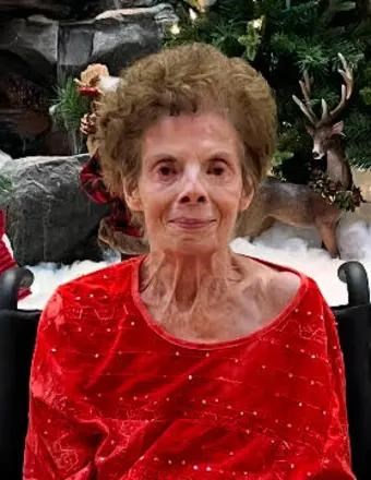 Patricia Ann Bauman Obituary (2025) - Christopher, IL - Gilbert Funeral ...