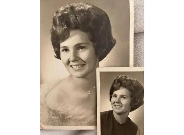 Dianne G. Gagner Obituary (2024) - Montrose, MI - O'Guinn Family ...