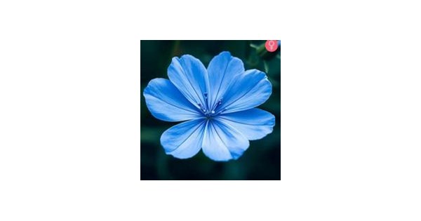 Megan Eileen Moody Obituary (2025) - North Palm Beach, FL - Avatar ...
