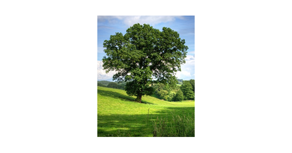 Daniel James Smith Obituary (2025) - Spokane, WA - Hennessey Funeral ...
