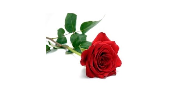 Linda Dawson Obituary and Online Memorial (2026)