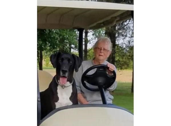 Norma J Fidler Obituary (2025) - Adrian, MI - Marry Funeral Home ...