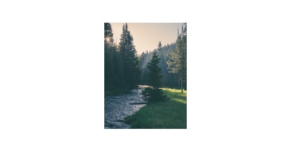 Kreb Family Obituary (2021) - Colorado Springs, CO - The Springs ...