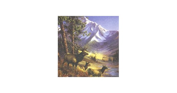 Dennis Ray Nusbaum Obituary (2023) - Corvallis, OR - McHenry Funeral ...