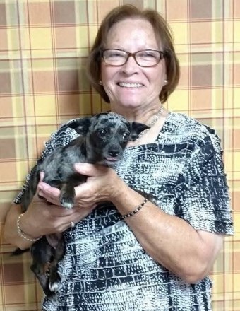 Joyce Ashley Obituary and Online Memorial (2026)
