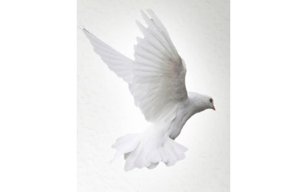 Donald Randall Obituary (2026) - Norwood, NC - Edwards Funeral Home ...