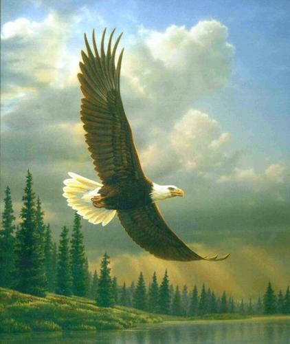 Michael Lee Helmer Obituary (2022) - Niles, MI - Brown Funeral Home ...