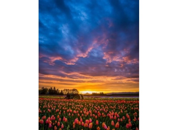 Steven Shapiro Obituary (1940 - 2025) - Ashland, OR - KDRV