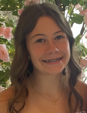 Cambree Katherine York Obituary (2026) - O'Fallon, IL - Schildknecht ...